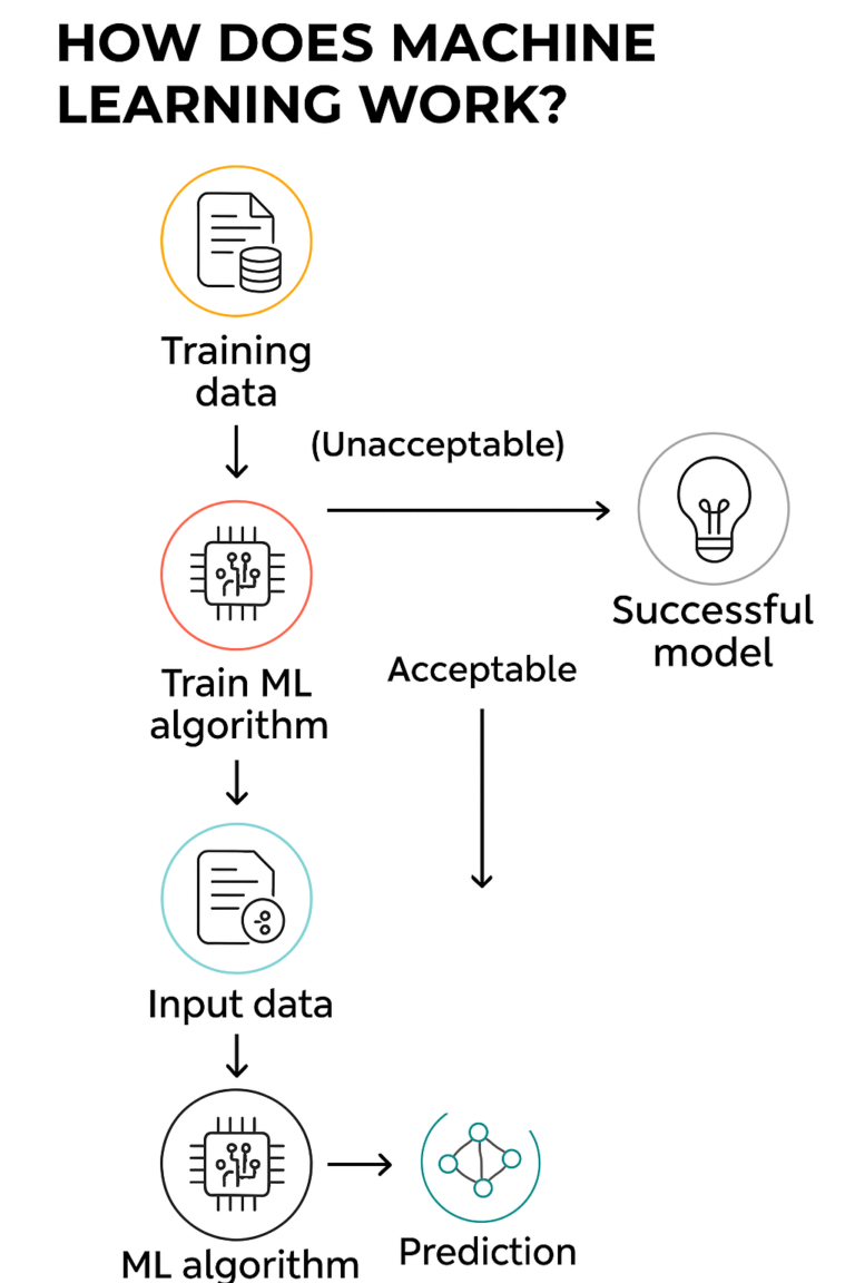 Machine Learning (ML) Explained: Types, Examples & How It Powers AI